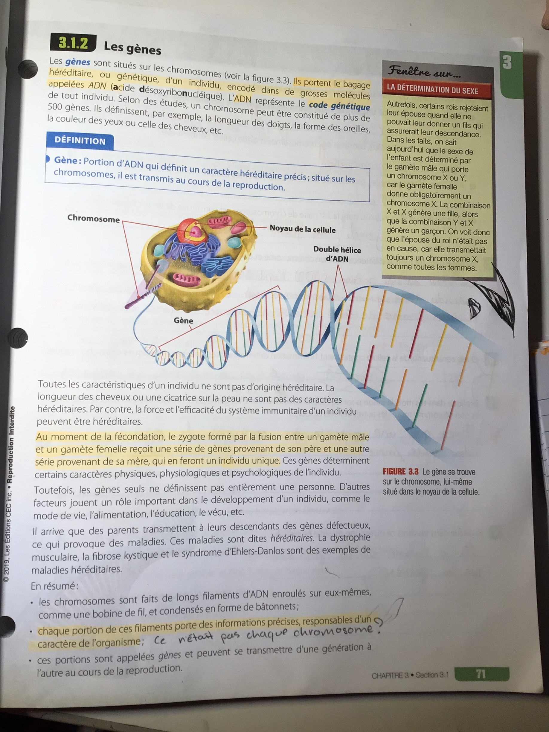 Zone d’entraide Sciences | Alloprof — Alloprof